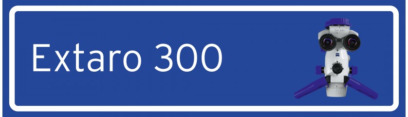 EXTARO 300 - Lunea Groupe